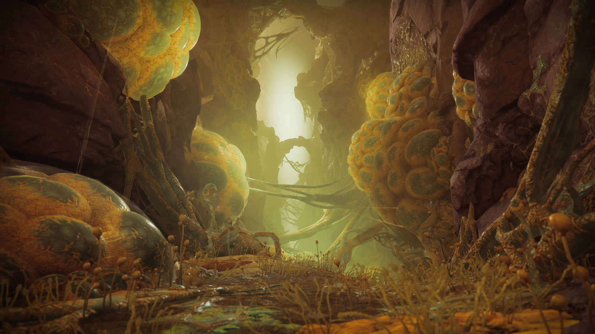 Bungie Press Room - The Edge of Fate Reveal